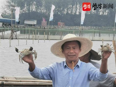 阳澄湖大闸蟹开捕，产量预计近万吨，价格略有上涨 苏州市阳澄湖大闸蟹行业协会 官方网站