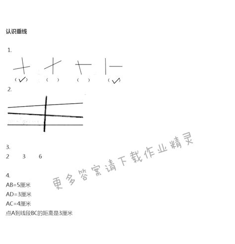 八 垂线与平行线 四年级上册数学补充习题第74页答案 苏教版数学补充习题四年级上下册答案 05网 零5网 0五网 新知语文网