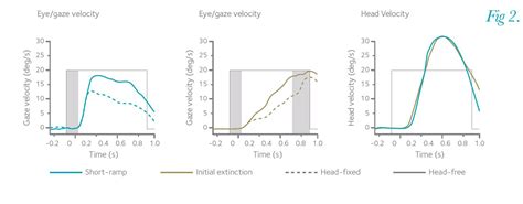Unravelling The Processes That Underlie The Everyday Activity Of Tracking Moving Objects The