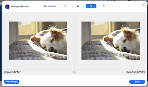 How To Unblur Tinder Matches Likes Without Gold Quickly