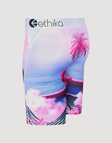 Ethika On Holiday Boxer Briefs Dtlr