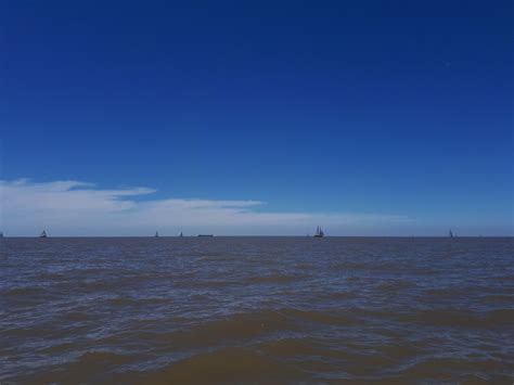 Método De Acceso Al Simillimum