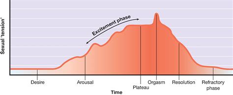 Sexual Problems Clinical Tree