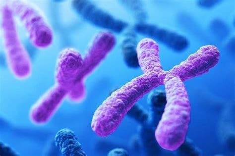 遗传印记 搜狗百科