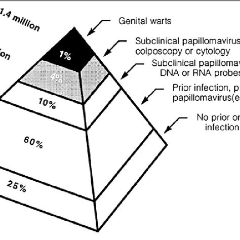Estimated Prevalence Of Genital Hpv Infection Among Men And Women 15 49