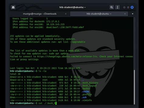 Antonis Koukouves On Linkedin Htb Linux Privilege Escalation Docker