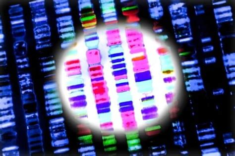 23andme Chasing Parkinsons Clues Through Genomic Data Mining Genetic Literacy Project