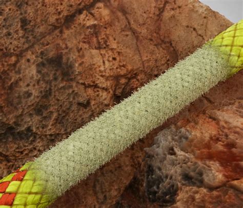 80 Alpine Core Protect Dry Rope Mammut