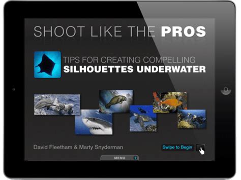 Histograms Explained Tips To Understand Your Cameras Histogram For Better Images Newmediasoup