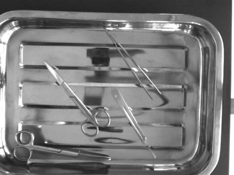 Surgical Dataset Kaggle Object Detection Dataset By Personal