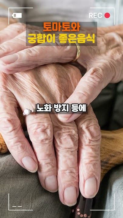 토마토와 잘 어울리는 음식 건강정보 음식shorts Youtube