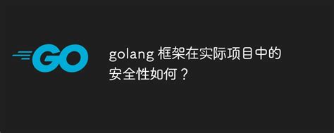 Golang 框架在实际项目中的安全性如何？ 叮当号