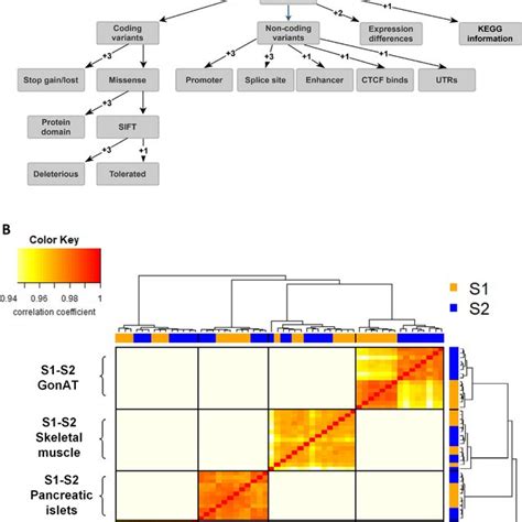 Prioritization Of Positional Candidate Genes And Identification Of The Download Scientific
