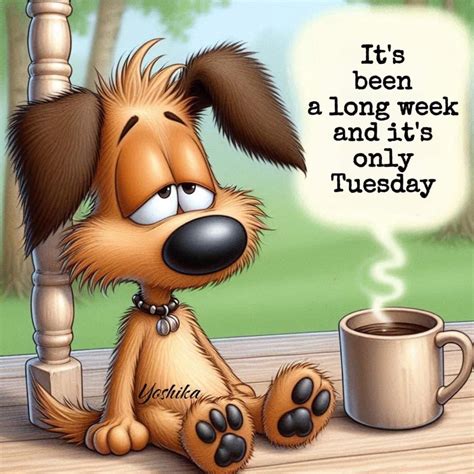 Tuesday Morning Coffee Humor