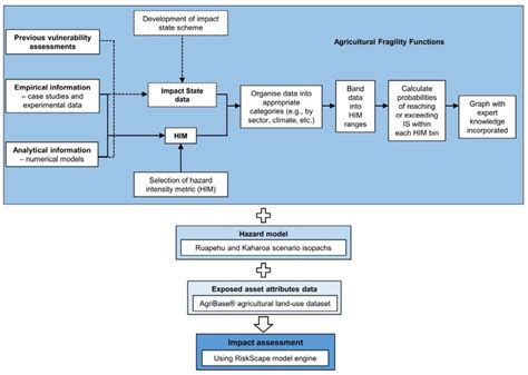 Figure E Overview Of The Process Of The Creation Of Fragility Download Scientific Diagram