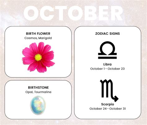 Zodiac Signs Based On Birth Month 60 Photos