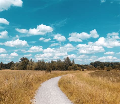 About Biochem Biochem