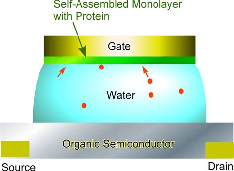 Highly Sensitive Humidity Sensor Based On A Triboelectric Nanogenerator Download Scientific