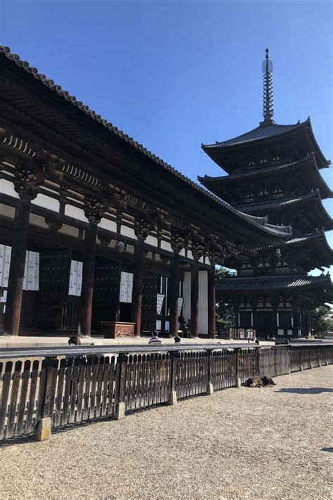 興福寺卍興福寺奈良県奈良市 八百万の神
