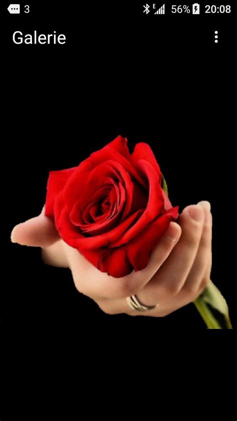 Æya Wiki Miraculous Arabic Amino