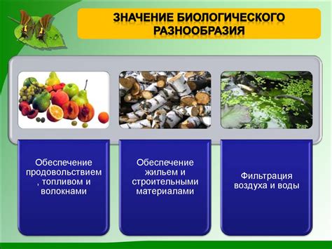 Сохранение биологического разнообразия презентация онлайн