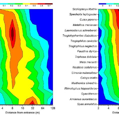 Comparative Normalized Spatial Density Map Of The 19 Most Abundant