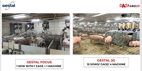 Importance Of Percision Feeding Technologies Data Group