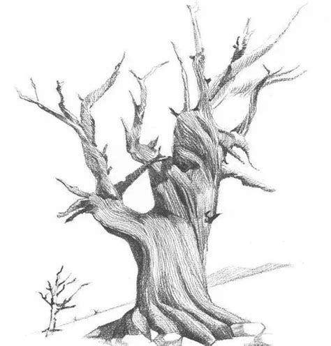 枯树素描画枯树素描枯树简笔画大山谷图库
