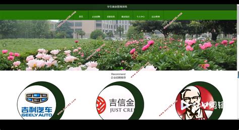 学生就业管理系统的设计与实现 springboot mysql 含录像 javaweb 毕业设计论文网
