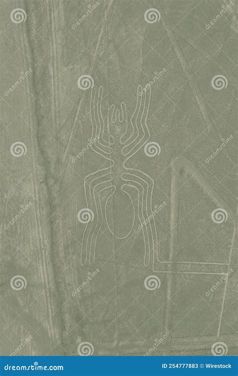 Vertical Closeup Of Nazca Lines In A Spider Contour Peru Stock Image Image Of Nazca Spot Vertical Closeup Of Nazca Lines In A Spider Contour Peru Stock Image Image Of Nazca Spot