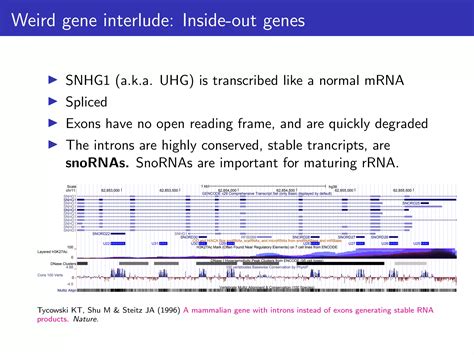 ppgardner lecture04 annotation comparativegenomics pdf