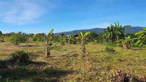 ขายที่ดินคลองกิ่ว 14 ไร่ ติดวิวเขา ใกล้ถนนเส้นสัตหีบ พนมสารคาม331 1 กม อ บ้านบึง จ ชลบุรี