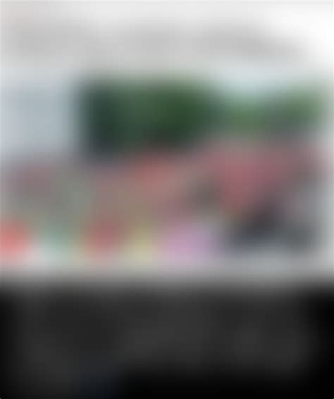 နှစ်ပေါင်း ၄၀ အတွင်း ငွေကြေးဖောင်းပွမှု အမြင့်ဆုံးအဖြစ် ဘယ်လ်ဂျီယံတွင