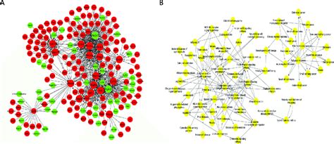 Gene Interaction Network And Pathway Interaction Network Analyses A