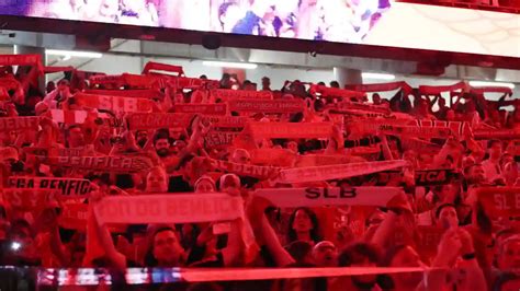 Exclusivo Glorioso 1904 Treinador Ganha Força Após Arranque Tremido