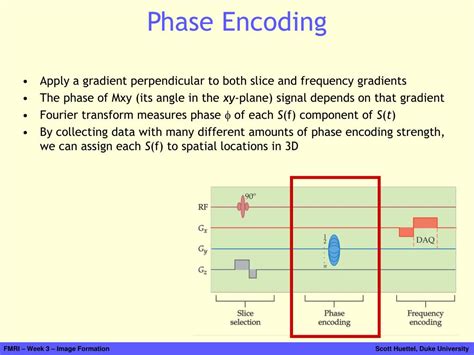 PPT MR Image Formation PowerPoint Presentation Free Download ID 340085