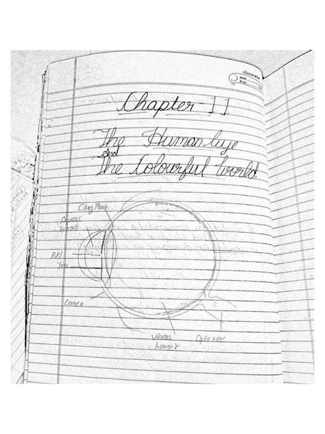 Class 10 Physics Chapter 2hecw Pdf Class 10 Physics Chapter 2hecw Pdf