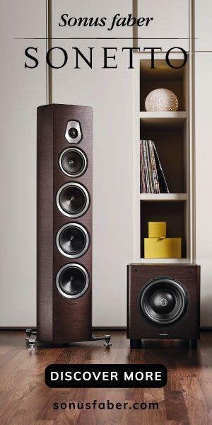 Diy Upgrade Dynaudio Focus 110 Diy Audio Projects Stereonet Asia Diy Audio Projects