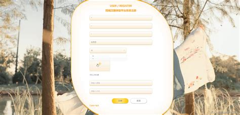 django同城汉服体验平台系统 程序 开题报告 django vue汉服 csdn博客