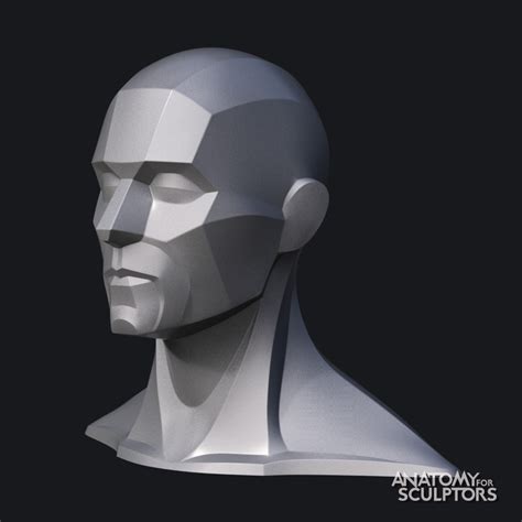 Male Head 3d Model Block Out Anatomy For Sculptors Artofit