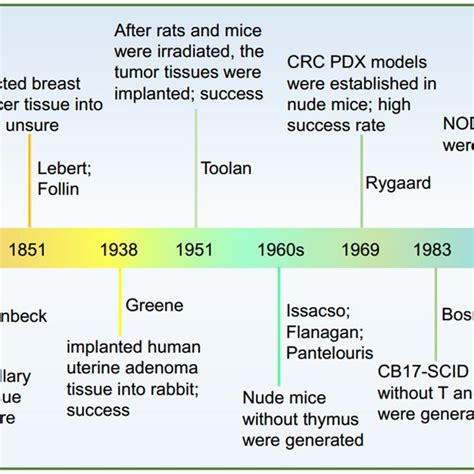Pdf Patient‐derived Xenograft Model In Colorectal Cancer Basic And