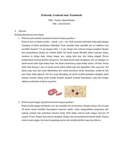 Eritrosit Leukosit Dan Trombosit Pdf Pdf