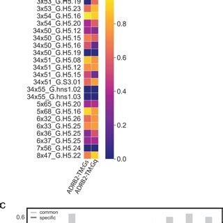 Unique Signatures Of GPCR And G Protein Structural Regions Involved In Download Scientific