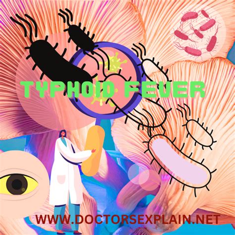 Unveiling Typhoid An In Depth Guide To A Global Health Threat