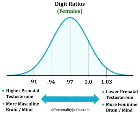 Finger Digit Length Ratio How To Measure It And What It Says About