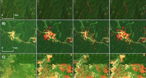 Alos 2 Palsar 2 Scansar And Sentinel 1 Data For Timely Tropical Forest Disturbance Mapping A