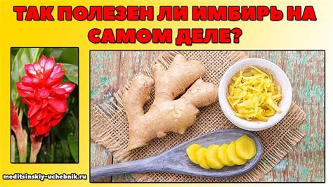 ИМБИРЬ ПОЛЕЗНЫЕ СВОЙСТВА И ПРОТИВОПОКАЗАНИЯ ДЛЯ ЧЕЛОВЕКА Youtube