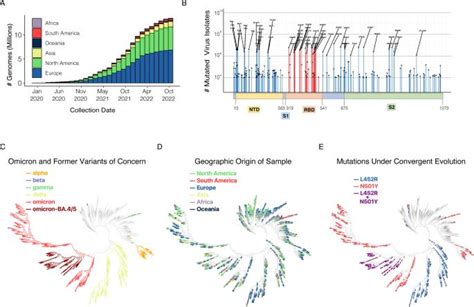 Richard Copin On Linkedin Evolutionary Trajectory Of Sars Cov 2 Genome Shifts During Widespread