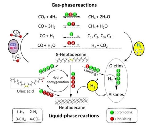 Proposed Deoxygenation Reaction Under H2 And Inert Atmosphere Xing Et Download Scientific