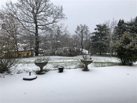 All My Chickens Are Less Than One Yo Today It Snowed And They Have